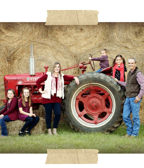 Trinity Farm Custom Beef & Pork | Hormone Free & Grass Fed Meat